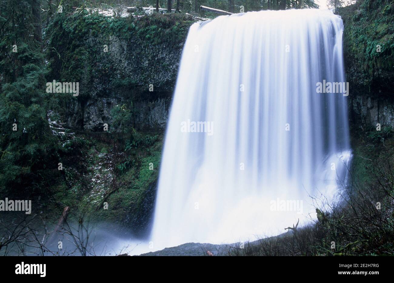 Middle North Falls, Silver Falls State Park, Oregon Stock Photo - Alamy