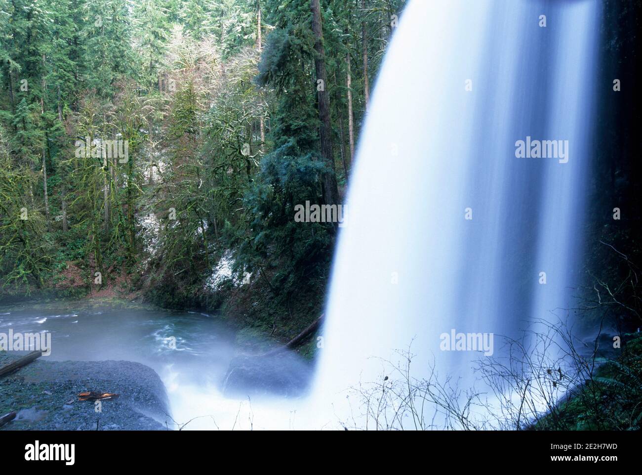 Middle North Falls, Silver Falls State Park, Oregon Stock Photo - Alamy