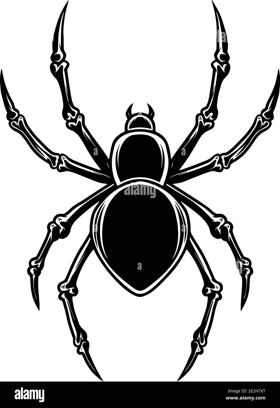Dangerous spider hi-res stock photography and images - Alamy
