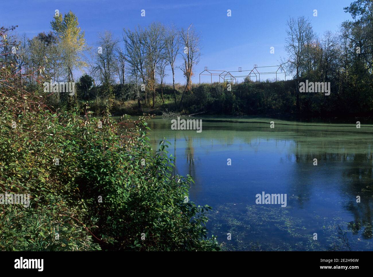 Willamette mission state park hi-res stock photography and images - Alamy
