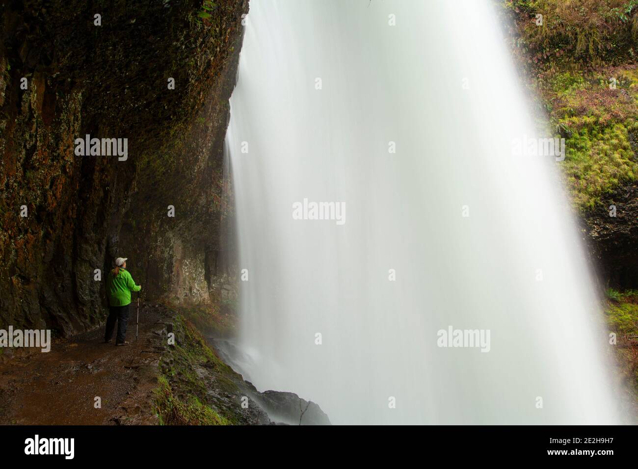 Middle North Falls, Silver Falls State Park, Oregon Stock Photo - Alamy