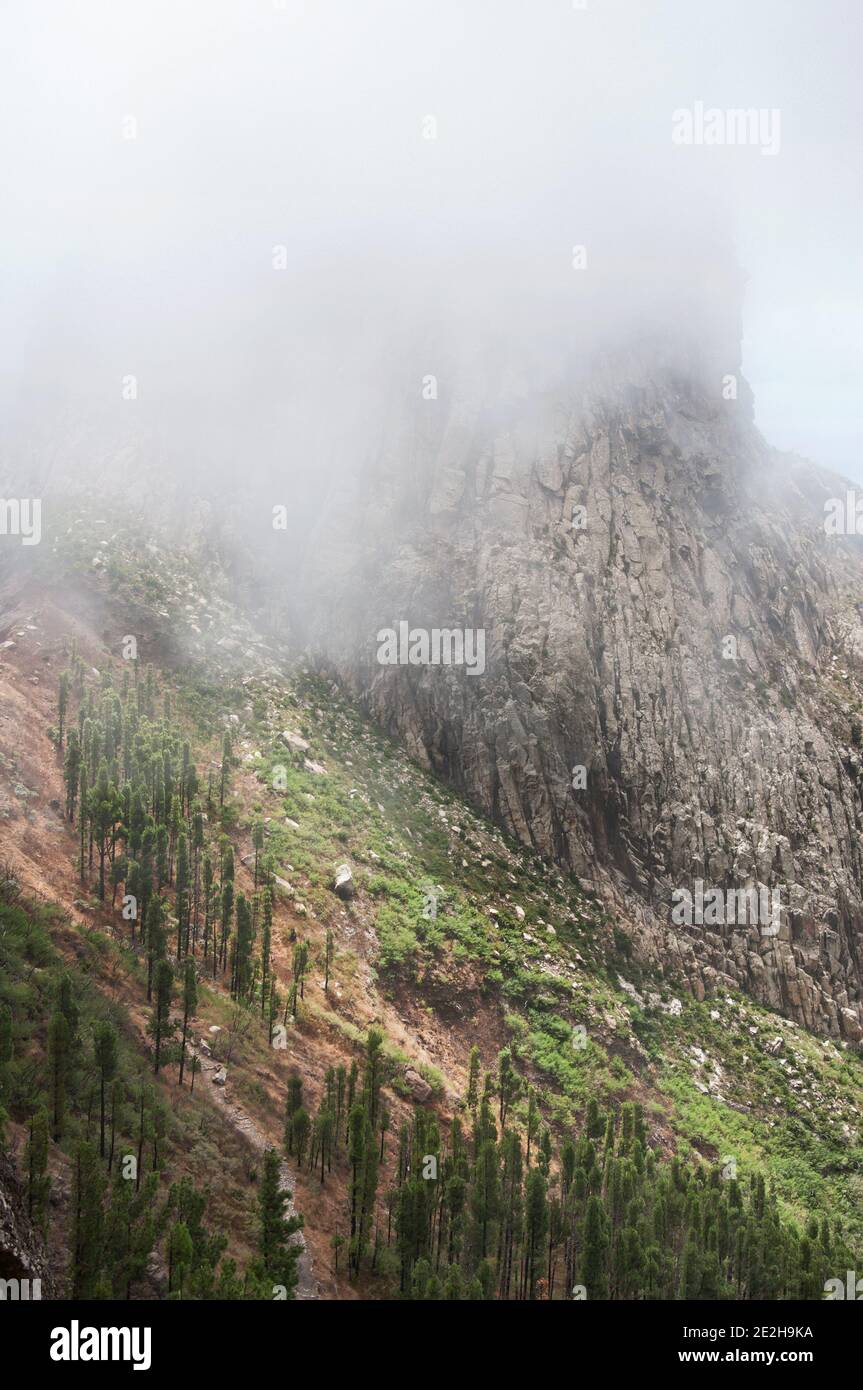 Mystical atmosphere with fog hi-res stock photography and images - Alamy