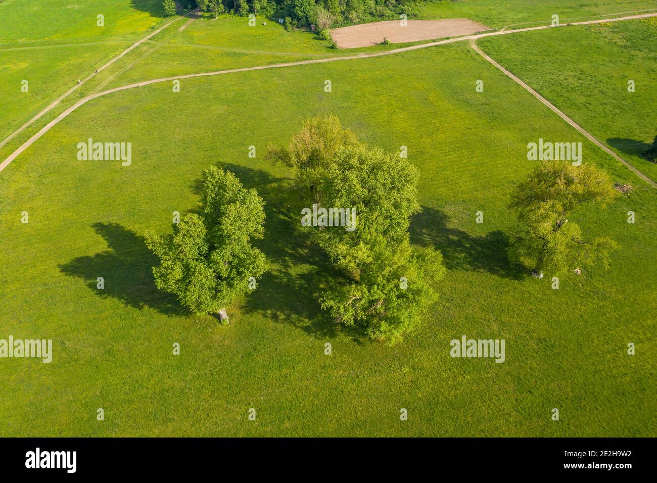 Field from above by drone Stock Photo - Alamy