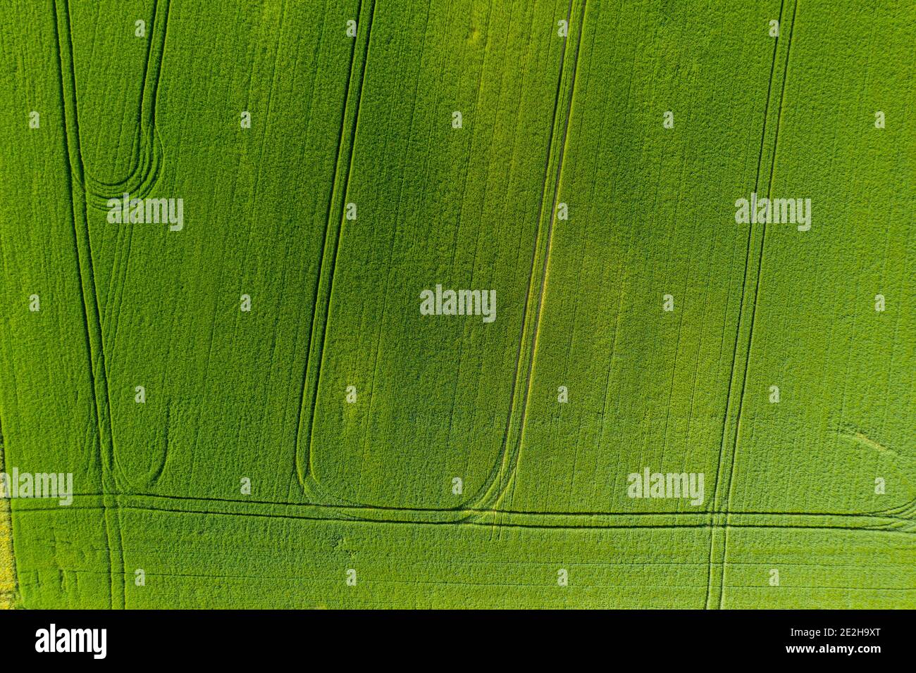 Field from above by drone Stock Photo - Alamy