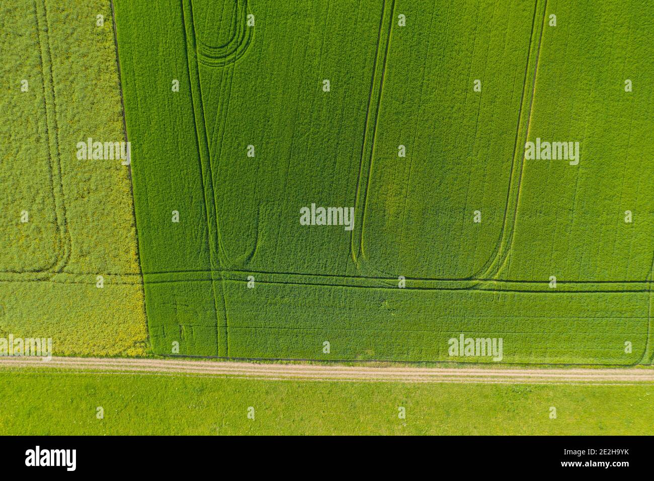 Field from above by drone Stock Photo - Alamy