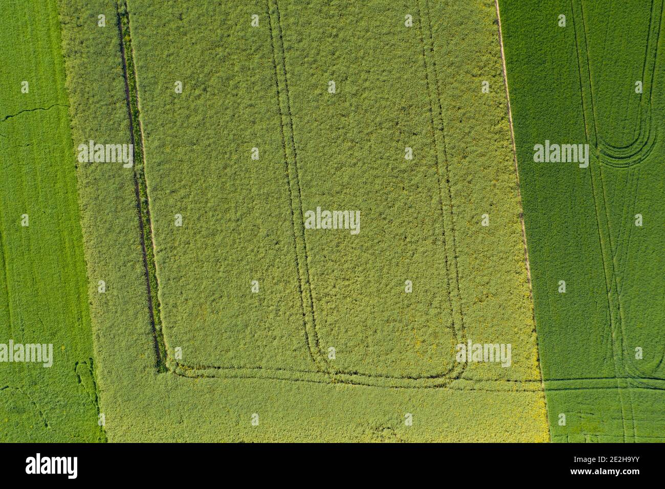 Field from above by drone Stock Photo - Alamy