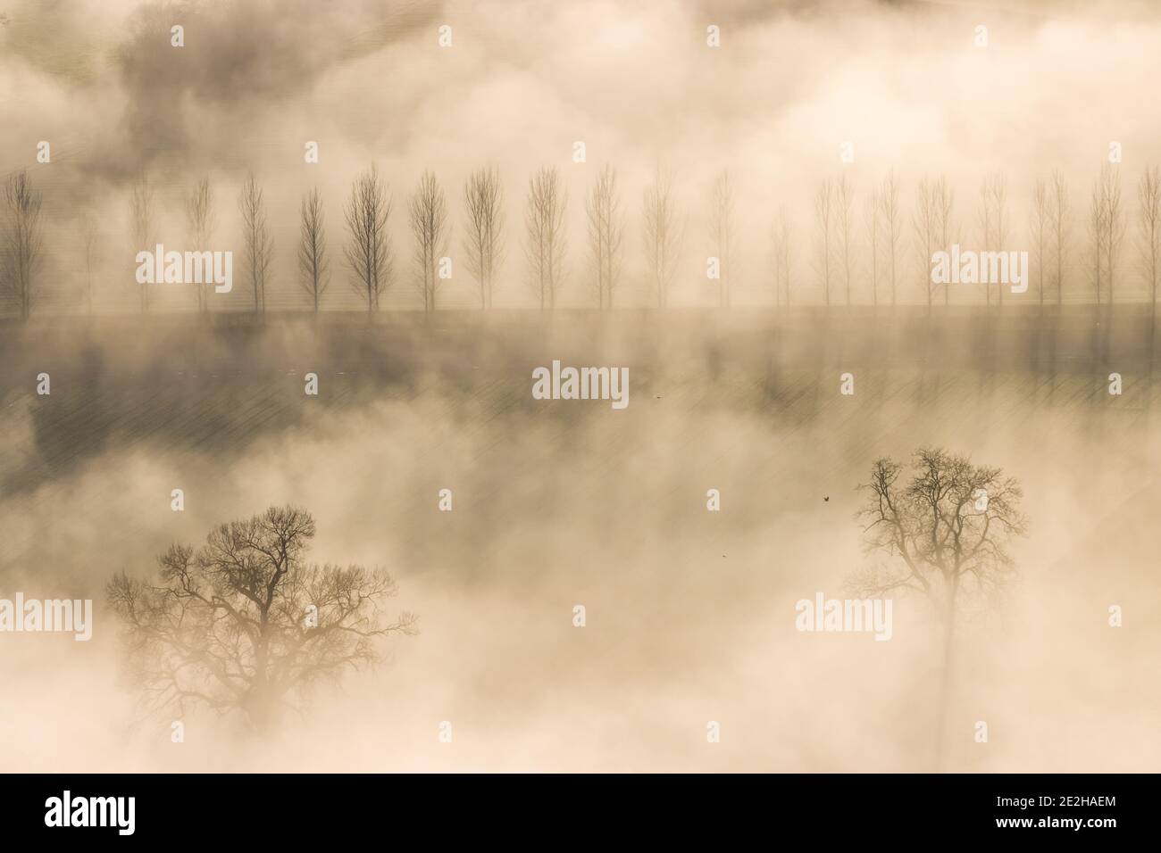 Mist shadows hi-res stock photography and images - Alamy