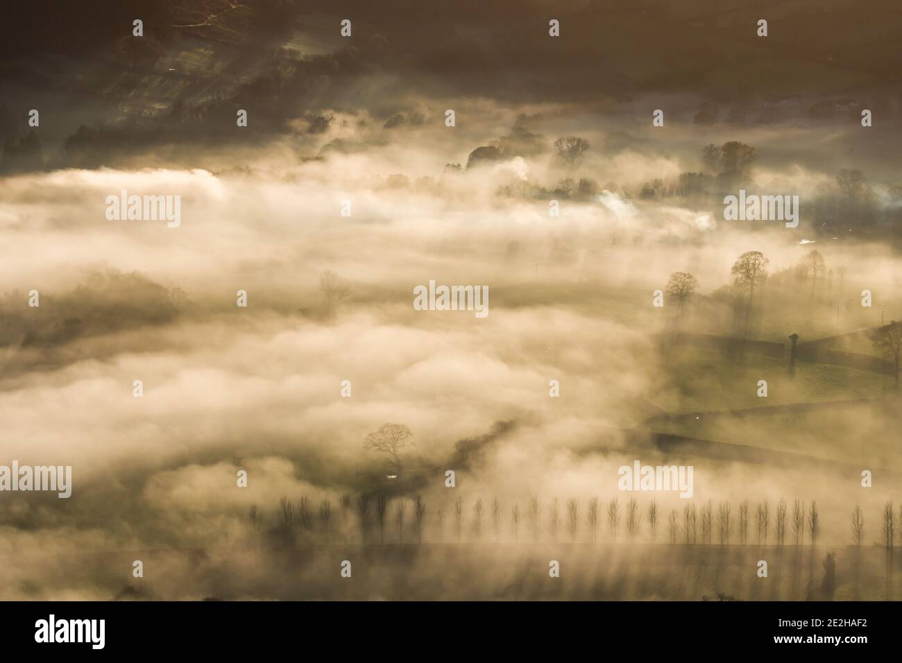 Beautiful scenery long trees hi-res stock photography and images - Alamy