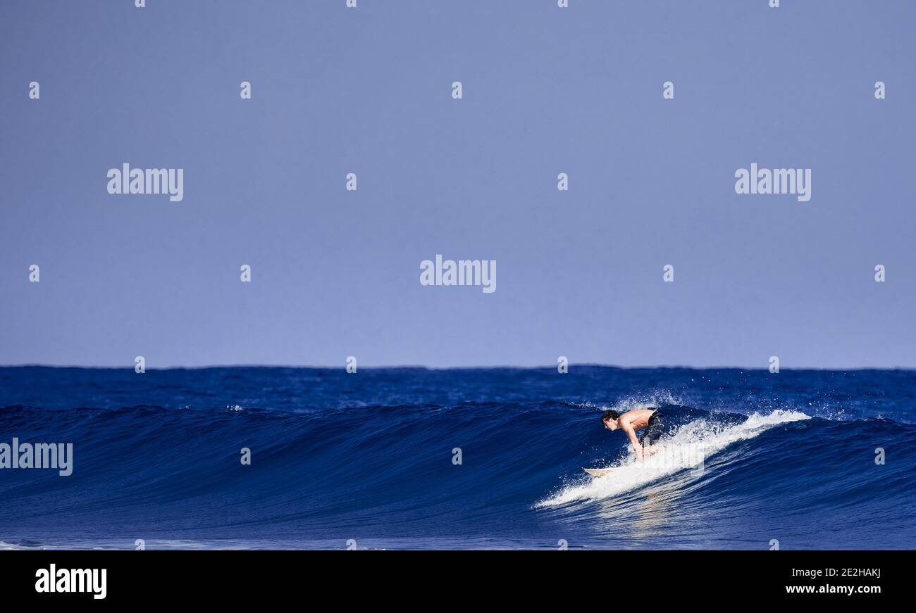 Surfer school. A young guy learning to stand on a surfboard. Surfer on ...