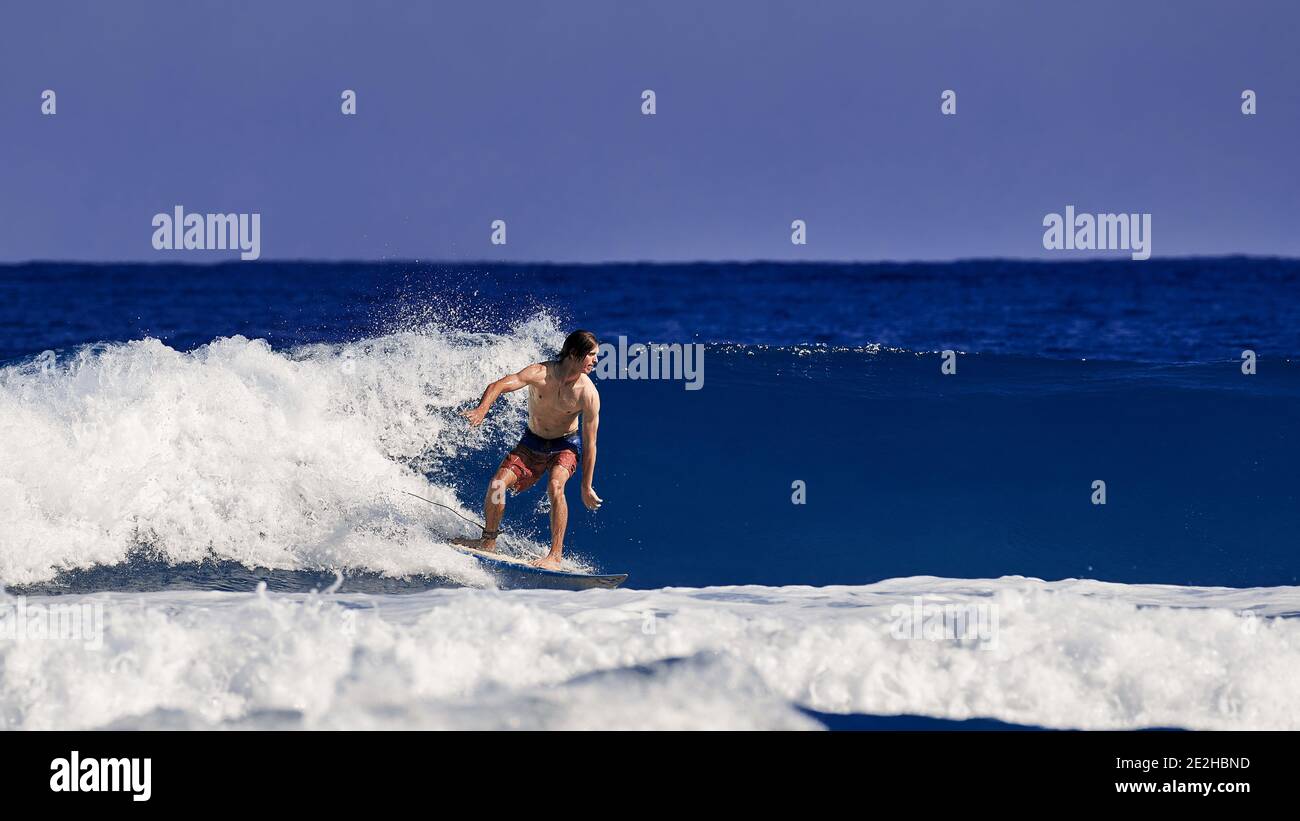 Surfer school. A young guy learning to stand on a surfboard. Surfer on ...