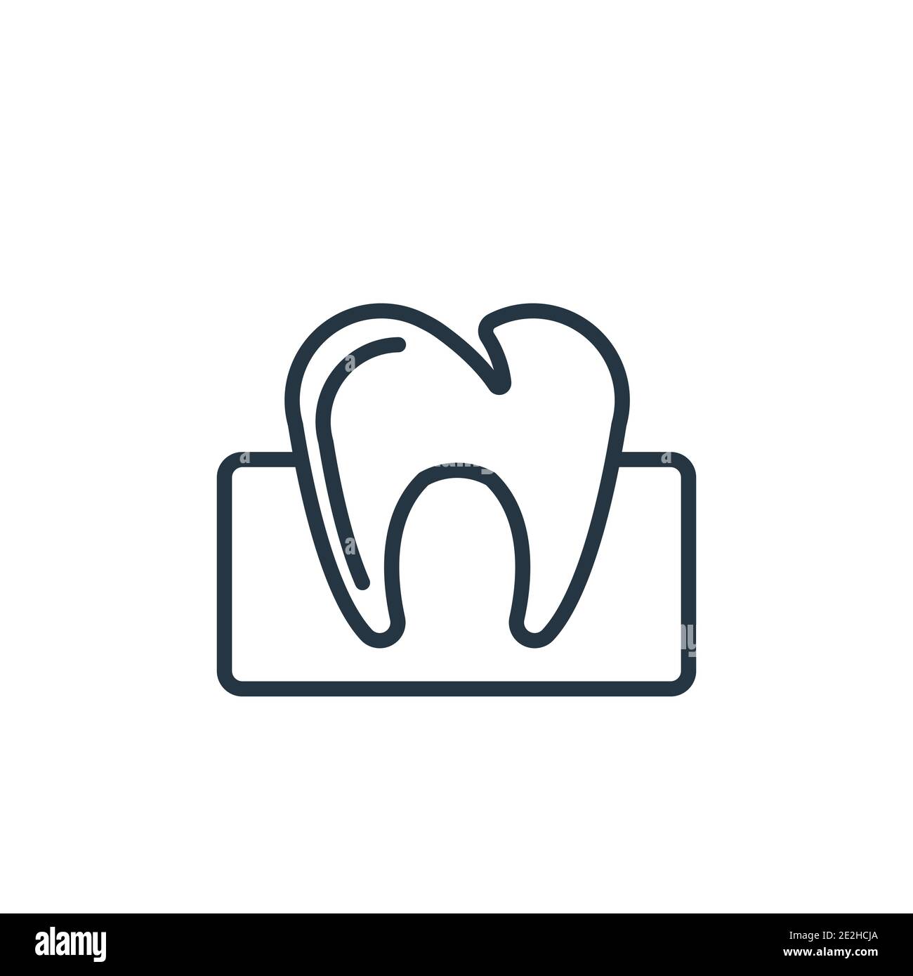 Molar outline vector icon. Thin line black molar icon, flat vector ...