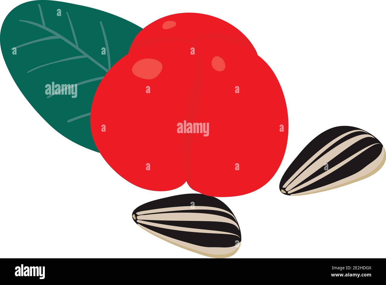 Fresh product icon. Isometric illustration of fresh product vector icon ...