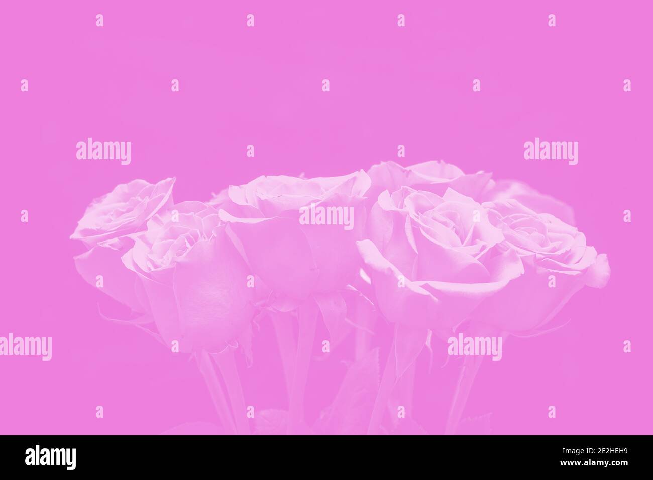 bouquet of beautiful roses with pink tinted Stock Photo - Alamy
