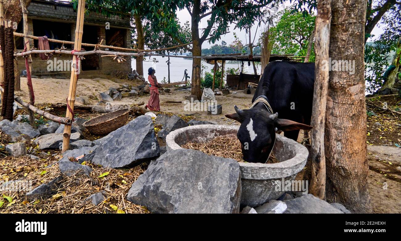 Baranagar village. West Bengal, India. This village looks the many ...