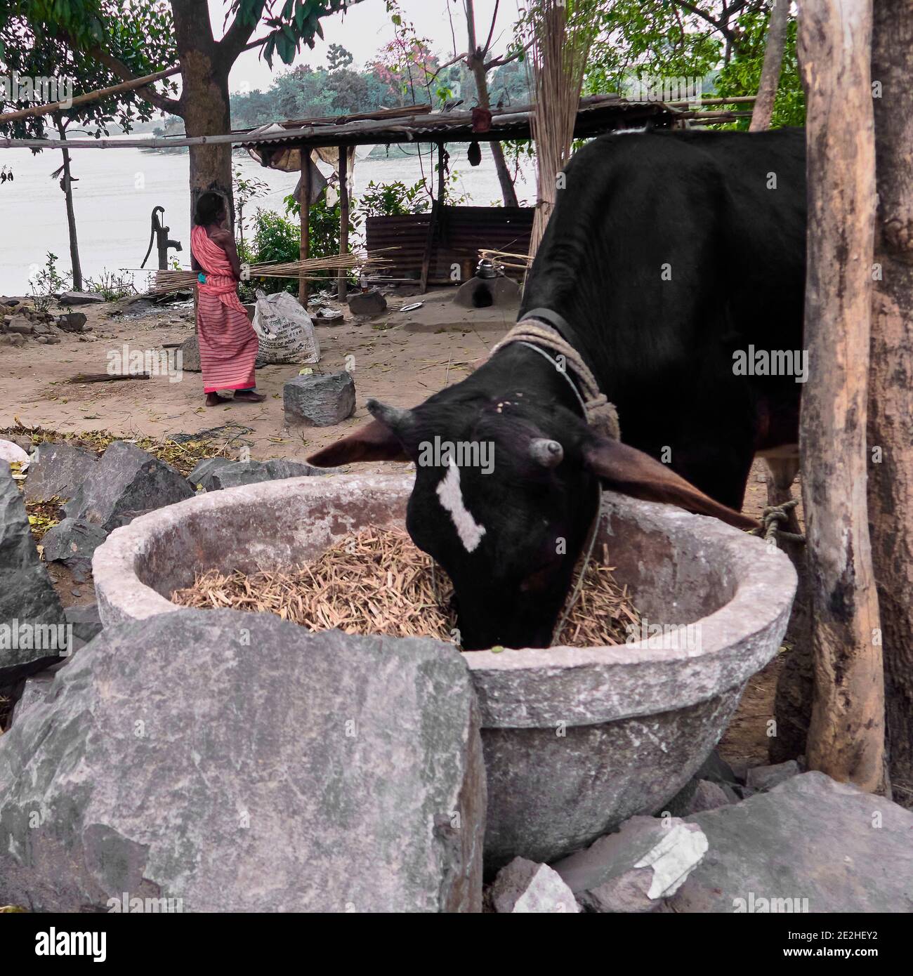 Baranagar village. West Bengal, India. This village looks the many ...