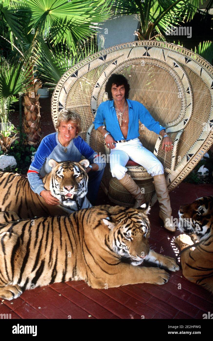 FILED - 30 November 1980, US, Las Vegas: German-born American magicians ...