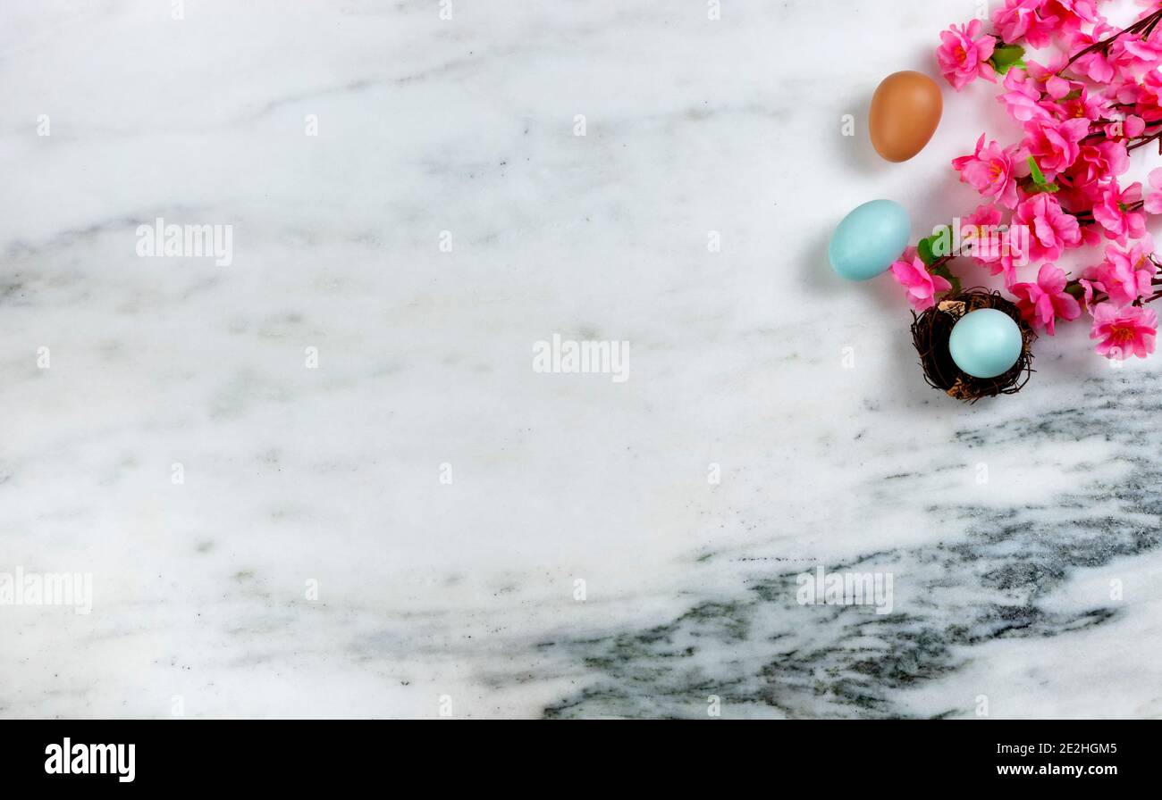 Happy Easter with pink bright springtime cherry blossoms and small bird ...