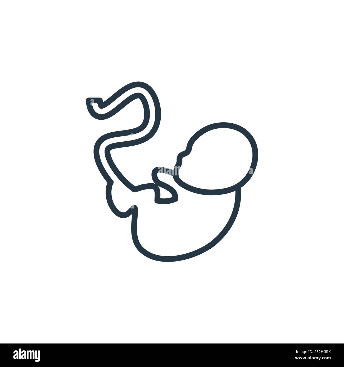 Fetus Outline
