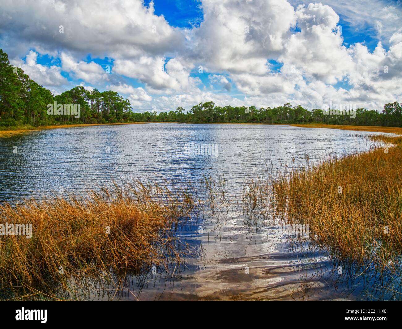 Winter colors and big clouds over Webb Lake in Babcock/Webb Wildlife ...