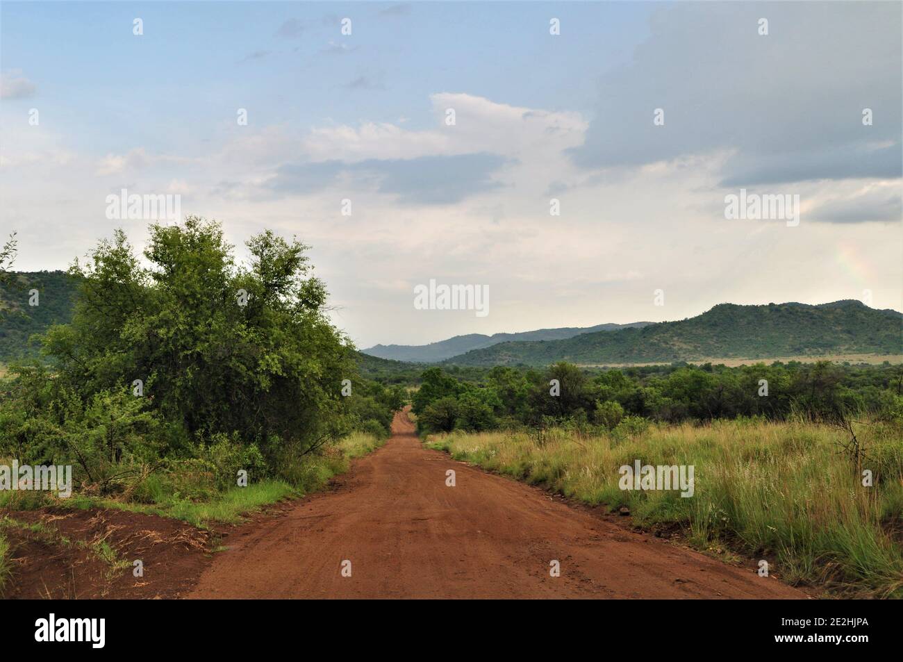 A sandy path into the african bush Stock Photo - Alamy