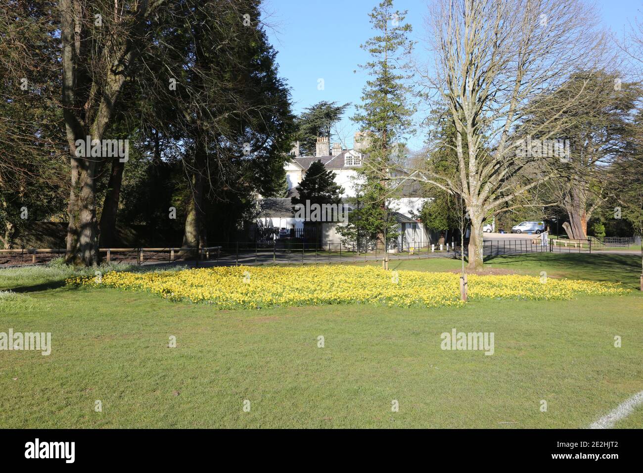 Rozelle Park Ayr, Ayrshire, Scotland, Uk. Spring time in the council ...
