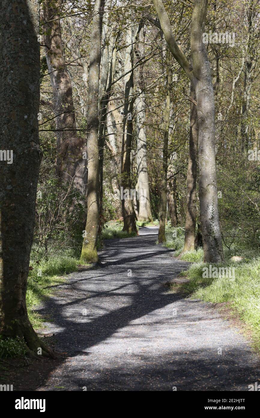 Rozelle park ayr hi-res stock photography and images - Alamy
