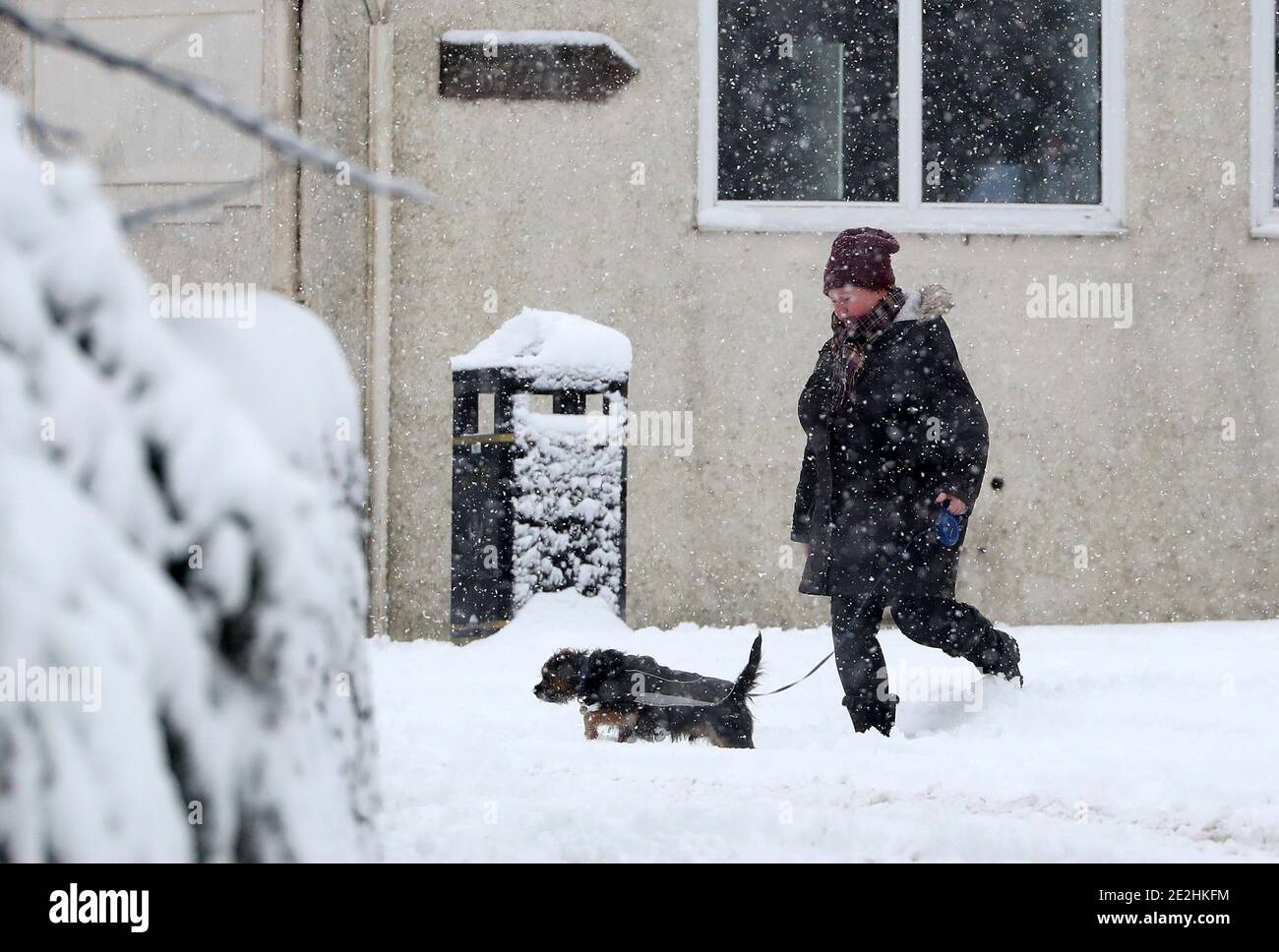 A person walks her dog through snow in Braco, near Dunblane in Scotland ...