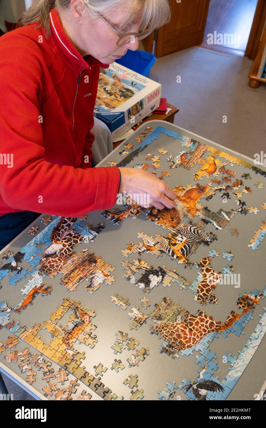 Completing Jigsaw Puzzle High Resolution Stock Photography and Images ...