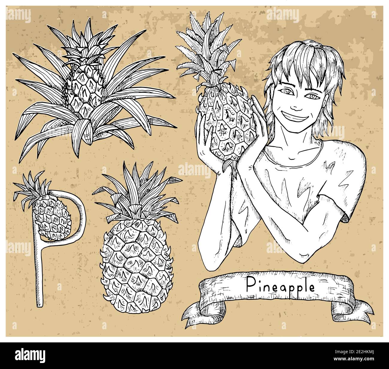 Man holding pineapple Stock Vector Images - Alamy