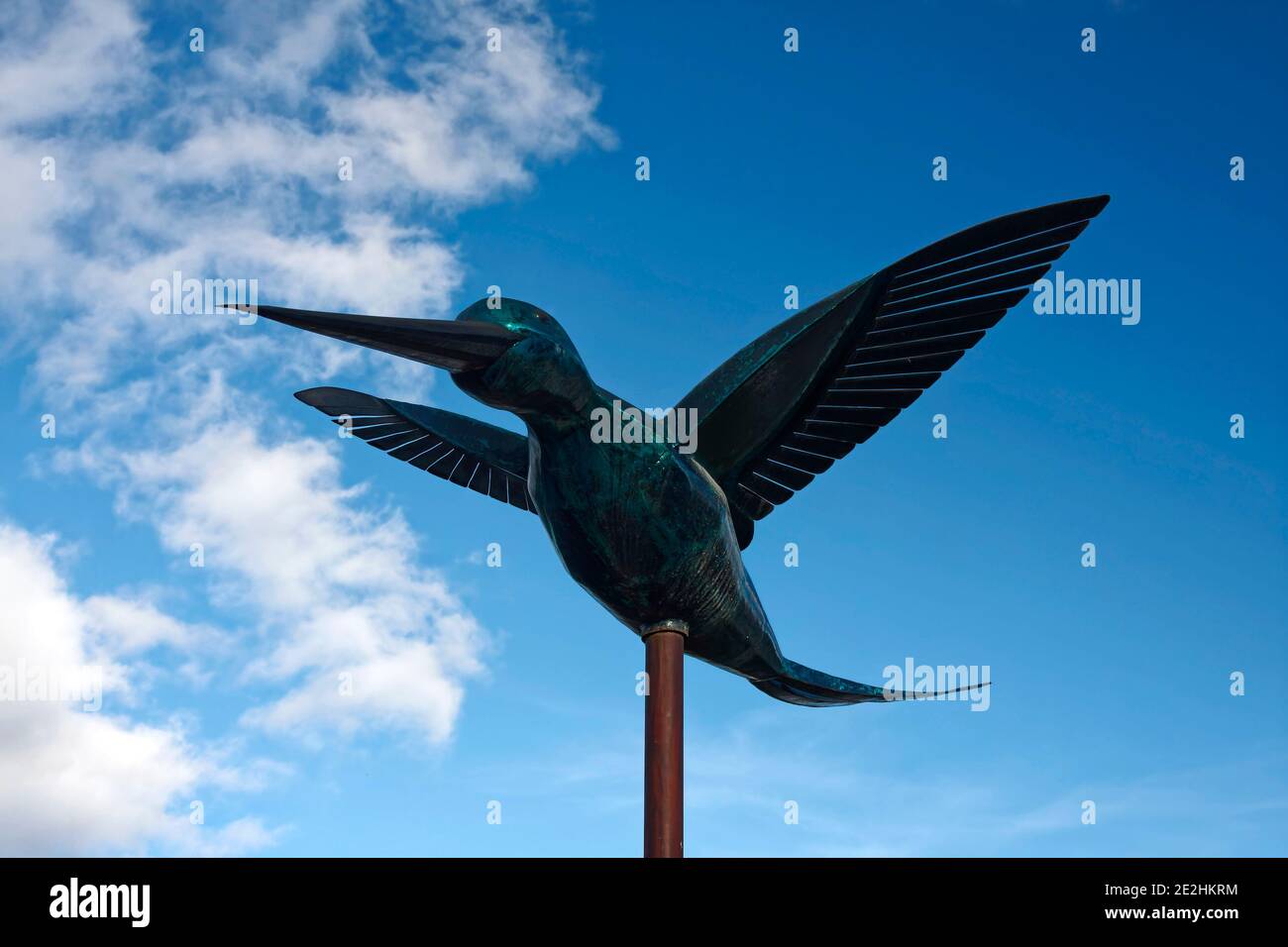 Black-breasted Puffleg; weathervane; windvane; hummingbird; critically ...