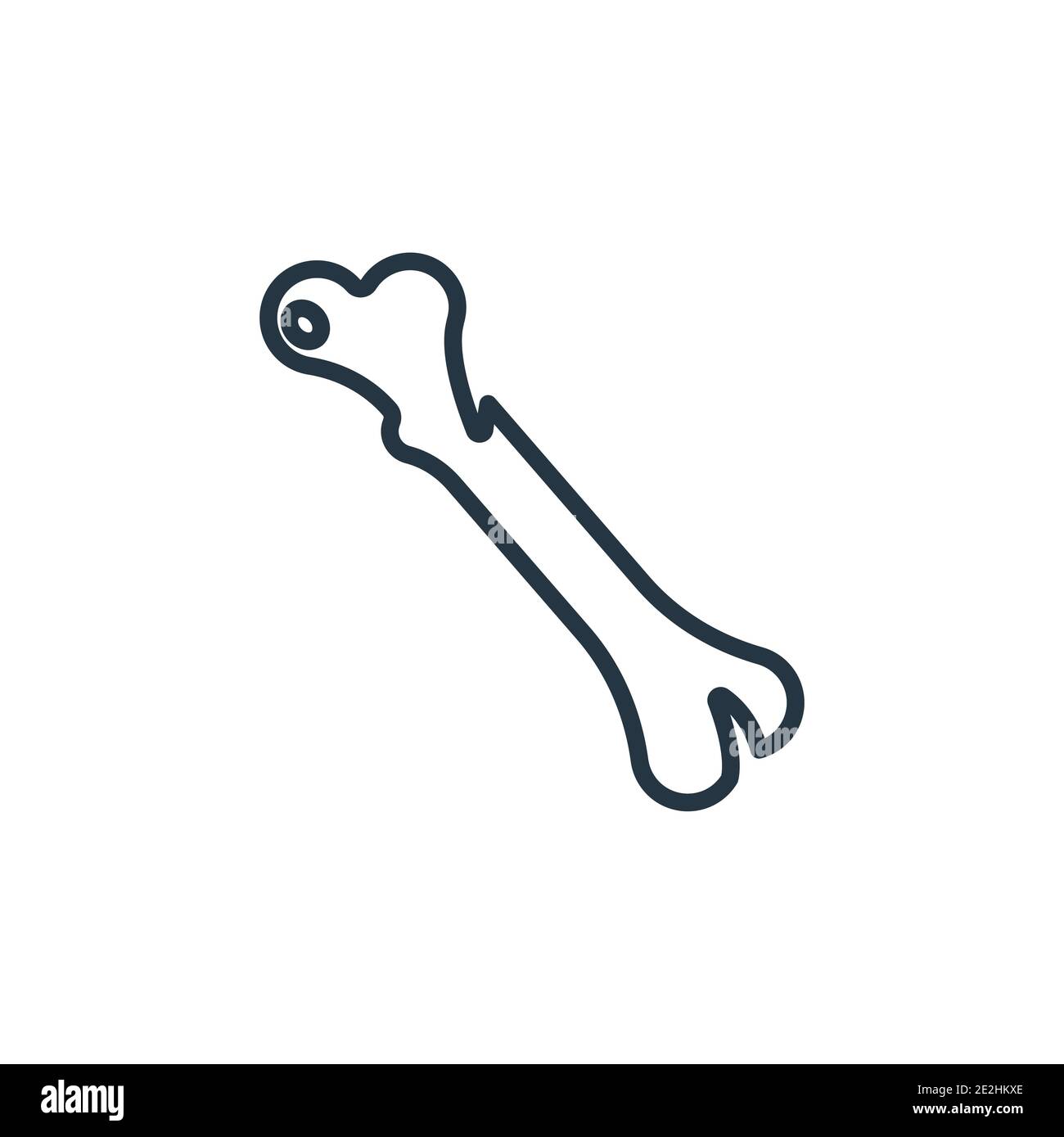 Femur outline vector icon. Thin line black femur icon, flat vector ...