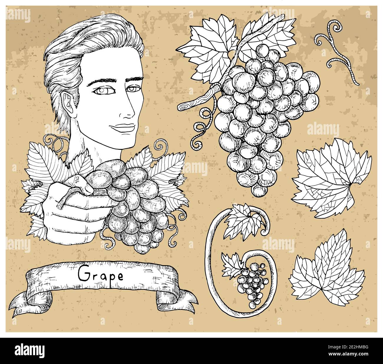 Design set with handsome man holding grape and fruits over textured ...