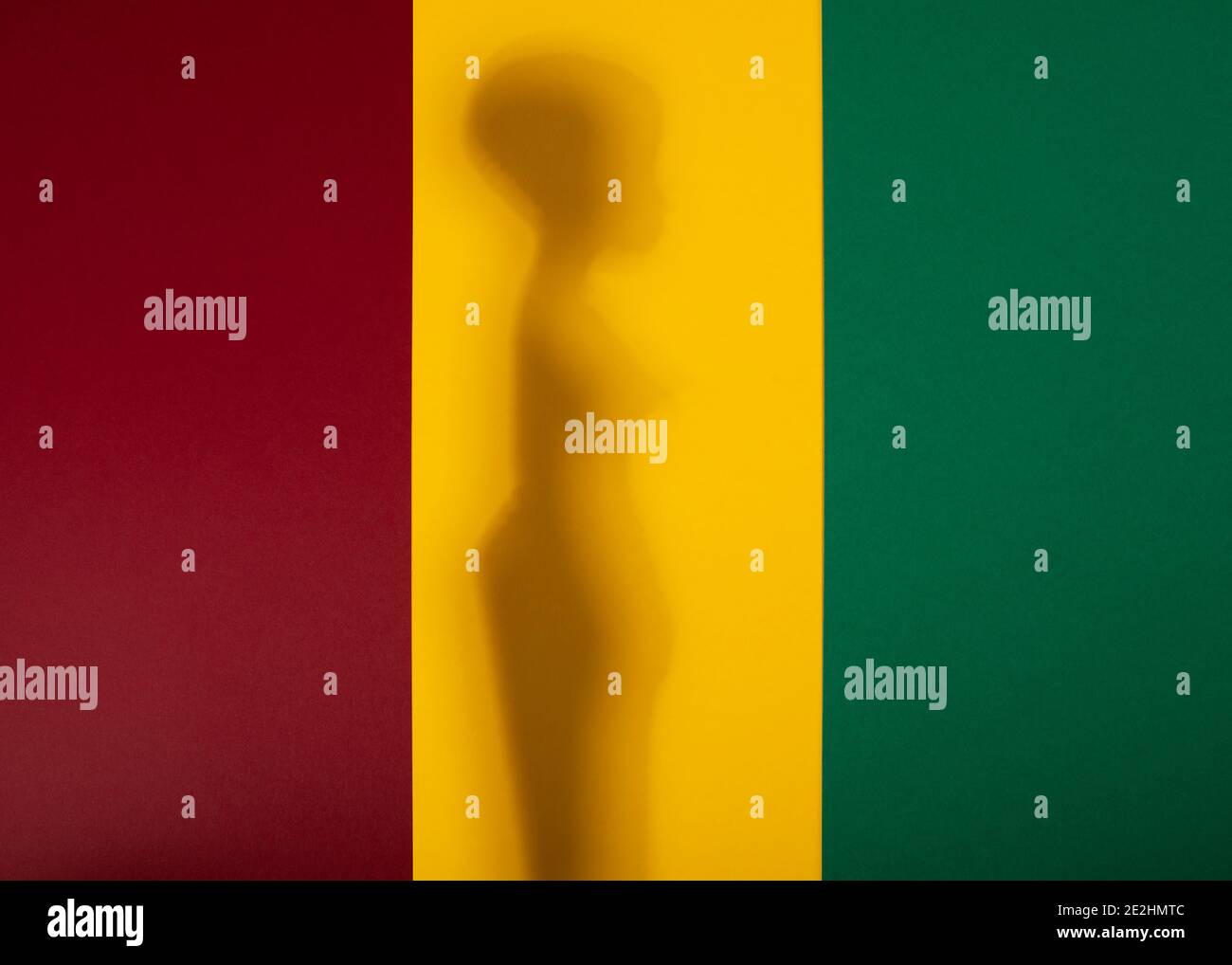 Black History Month. A shadow of an African woman on red, yellow and ...