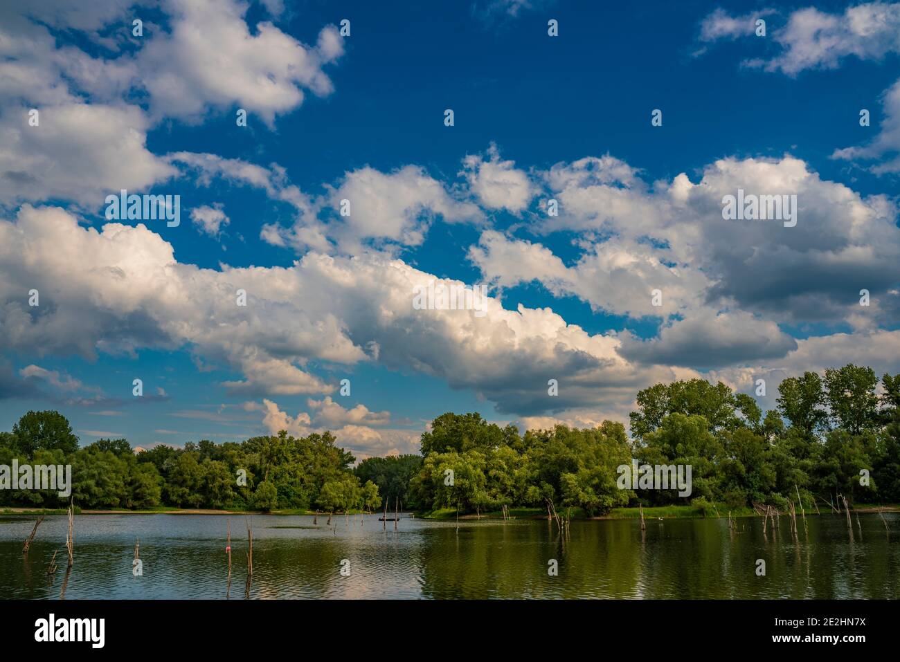 View at Sodros lake beach on Danube in Novi Sad, Serbia Stock Photo - Alamy