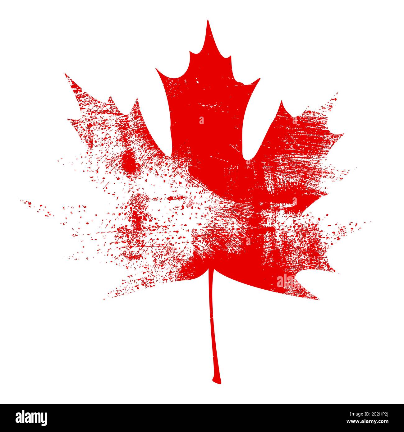 Aged maple Cut Out Stock Images & Pictures - Alamy