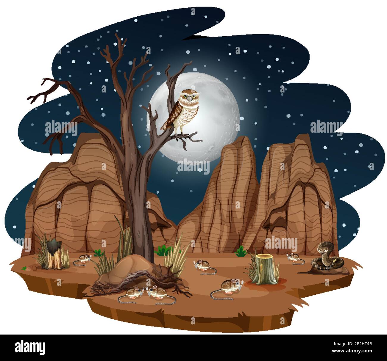 Wild desert with desert animal at night on white background ...