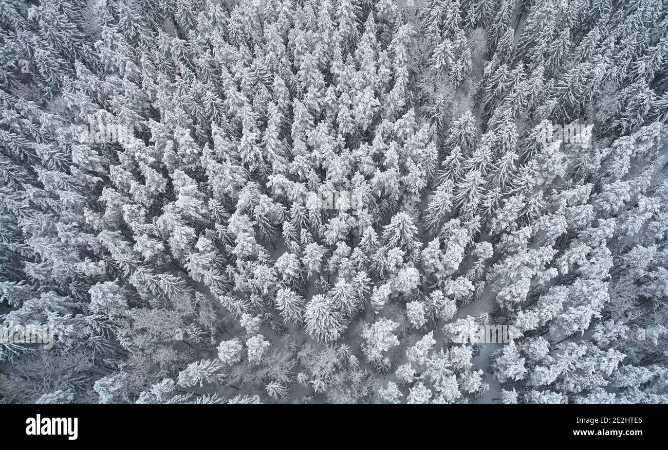 Drone view snowy valley forest hi-res stock photography and images - Alamy