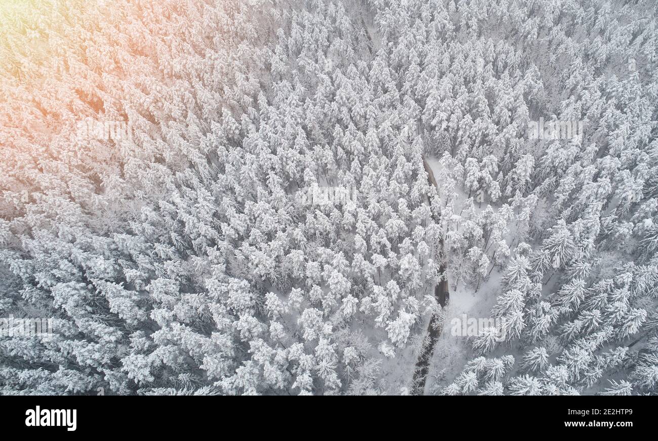 Aerial view snowy forest in hi-res stock photography and images - Alamy