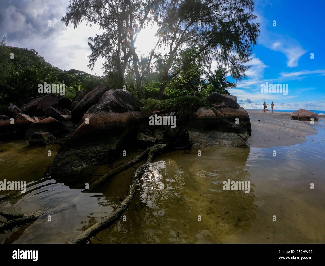 landscape of Fresh water stream in the Seychelles Near the beach Stock ...
