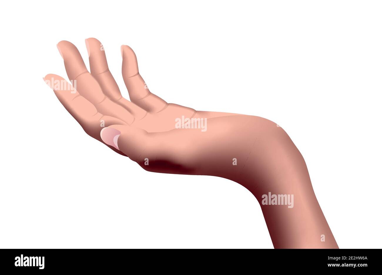 Vector illustration in graphic style Stock Vector Image & Art - Alamy