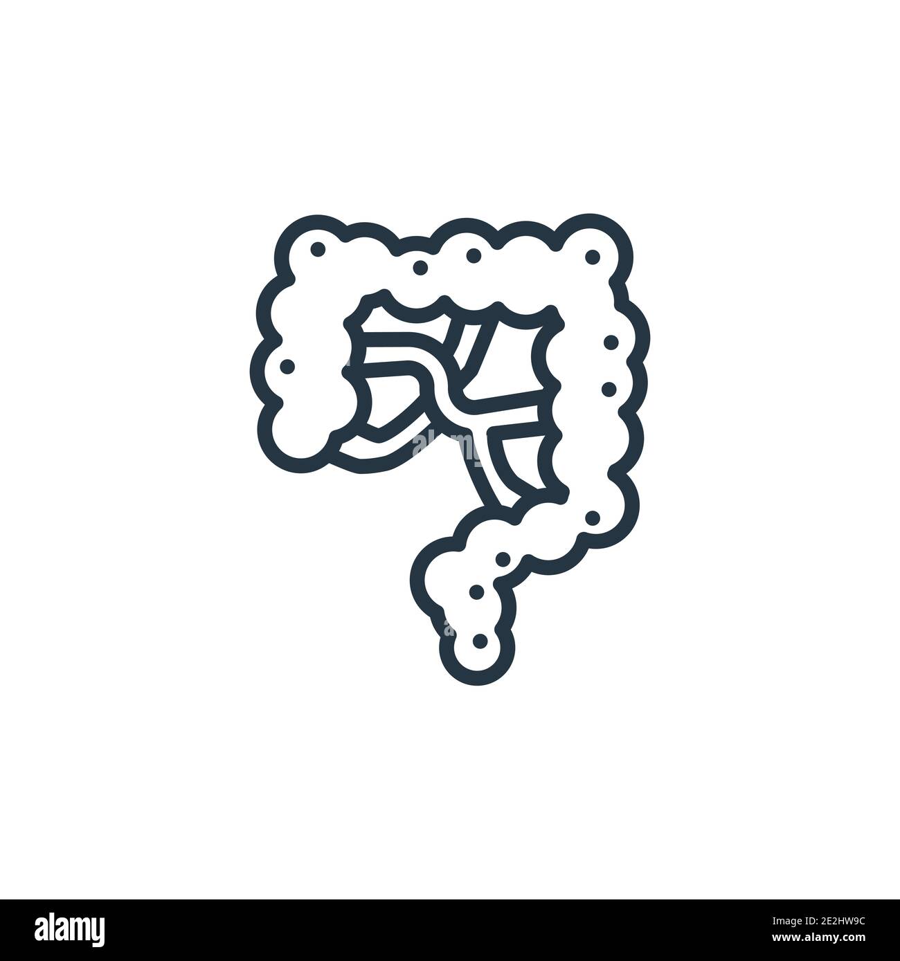 Intestine outline vector icon. Thin line black intestine icon, flat ... Intestine outline vector icon. Thin line black intestine icon, flat ...