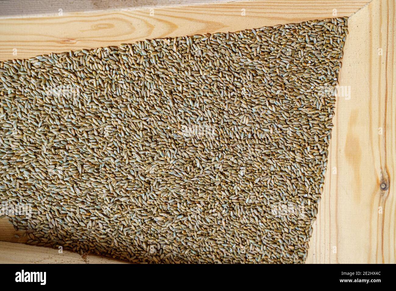Cereal storage of wheat hi-res stock photography and images - Alamy