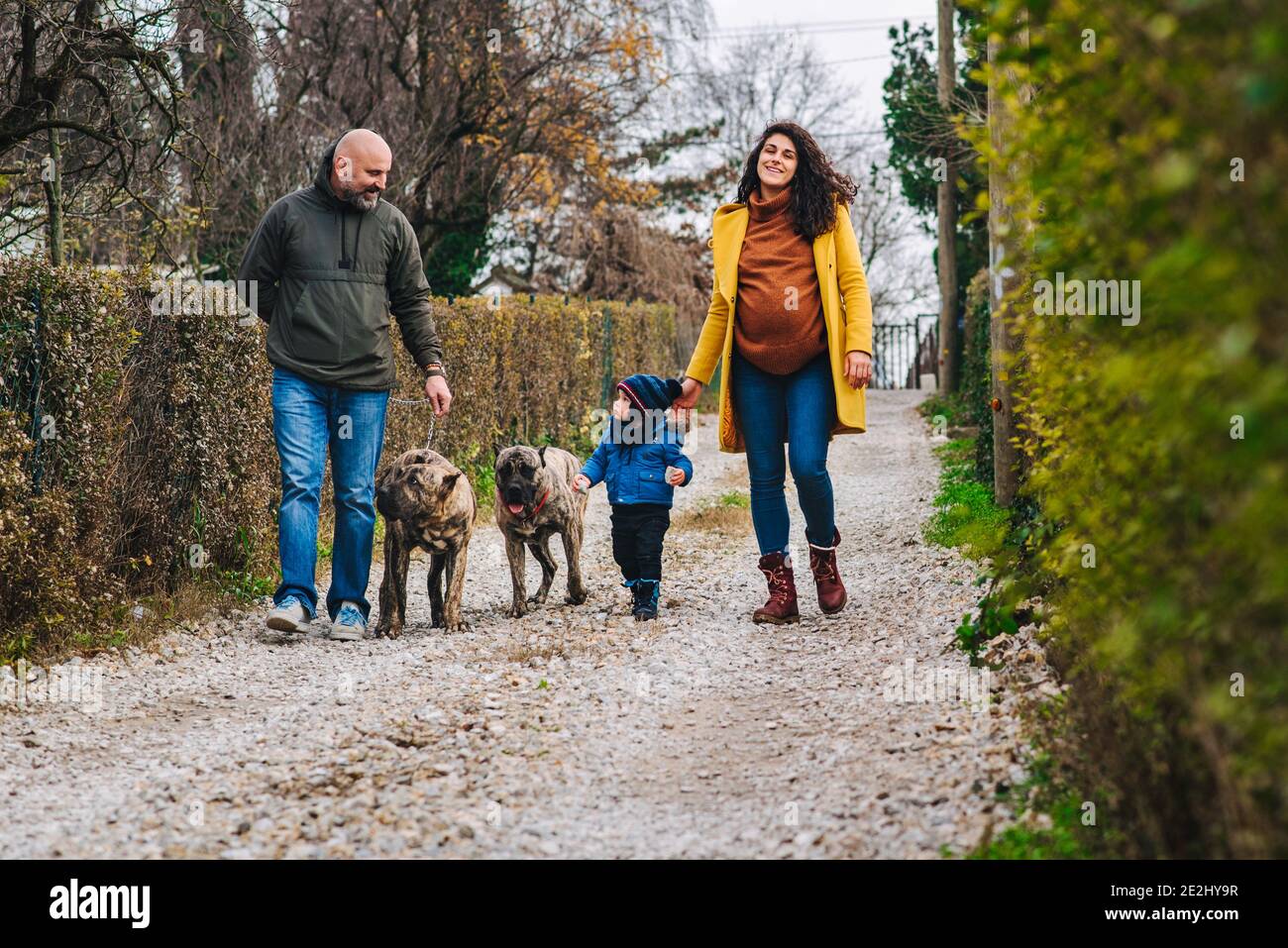 Boy taking dog for a walk hi-res stock photography and images - Alamy