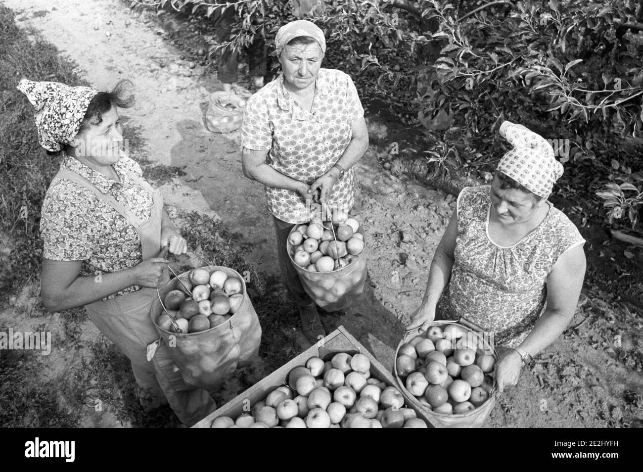 Lpg plant production Black and White Stock Photos & Images - Alamy
