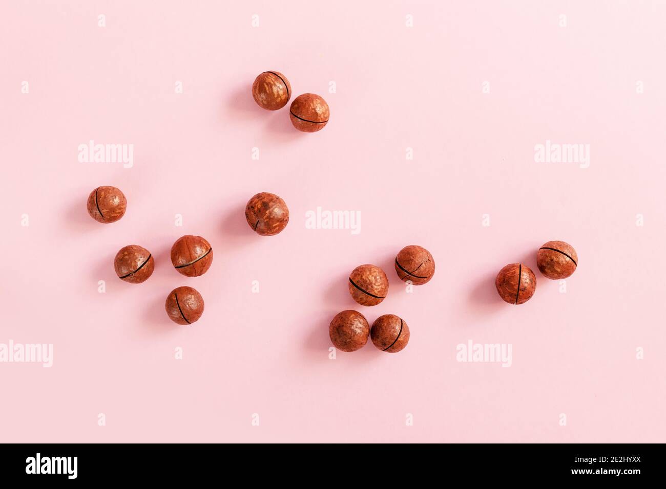 Raw macadamia nut scattered on a pink solid background. Minimal ...