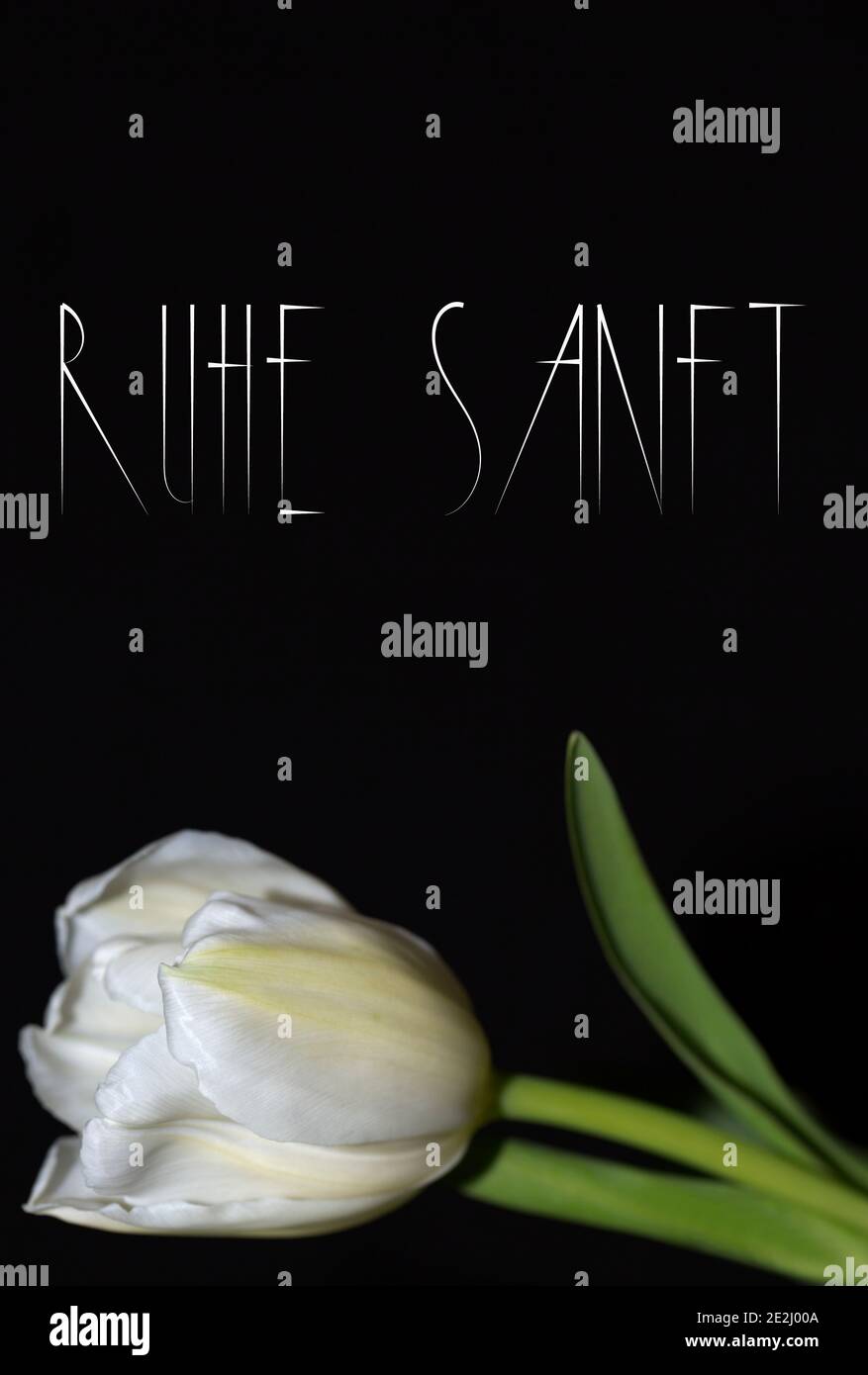 Rest in peace flowers hi-res stock photography and images - Alamy
