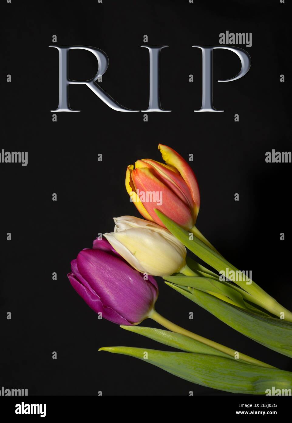 Rip Flowers