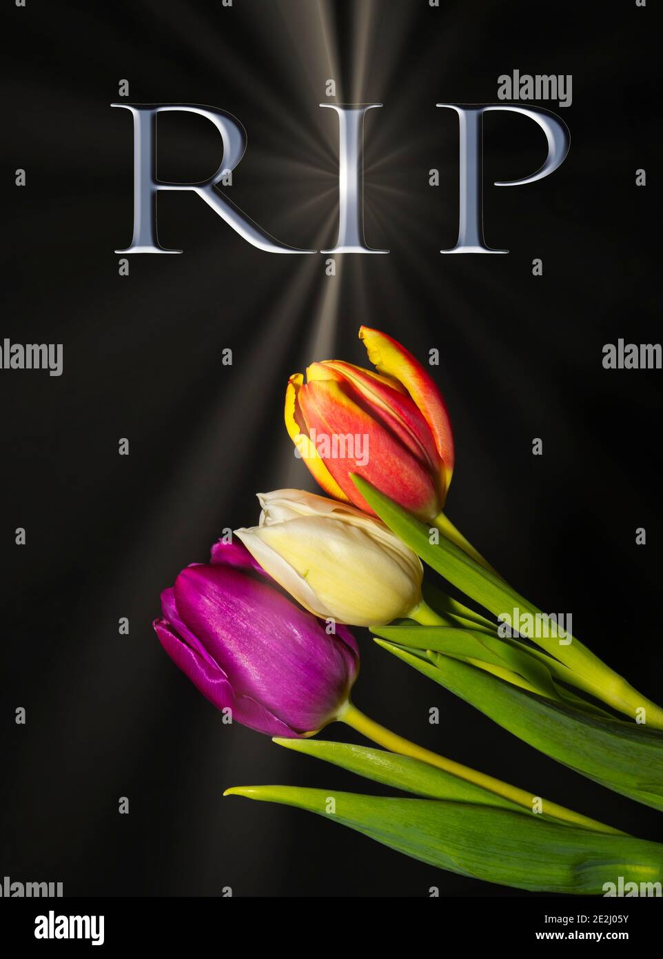 Rest in peace flowers hi-res stock photography and images - Alamy