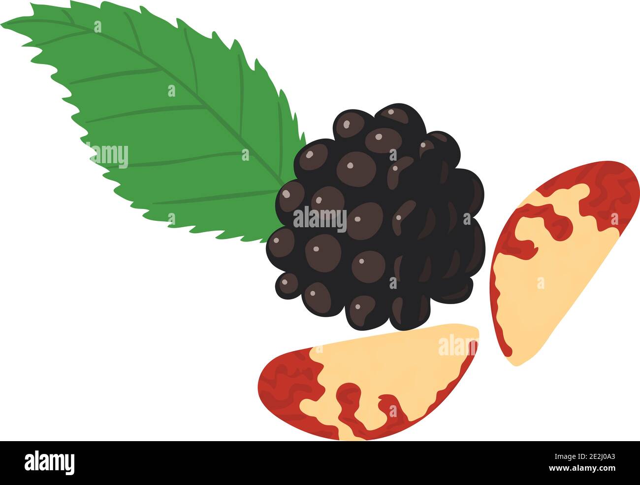 Useful product icon. Isometric illustration of useful product vector ...