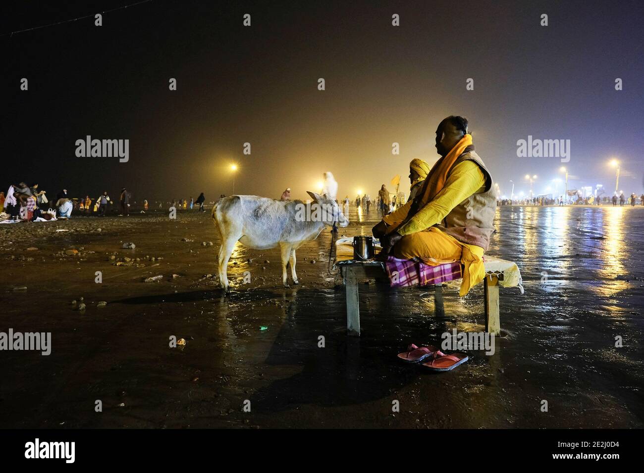A monk is waiting with his cow for the pilgrims as they used to offer ...
